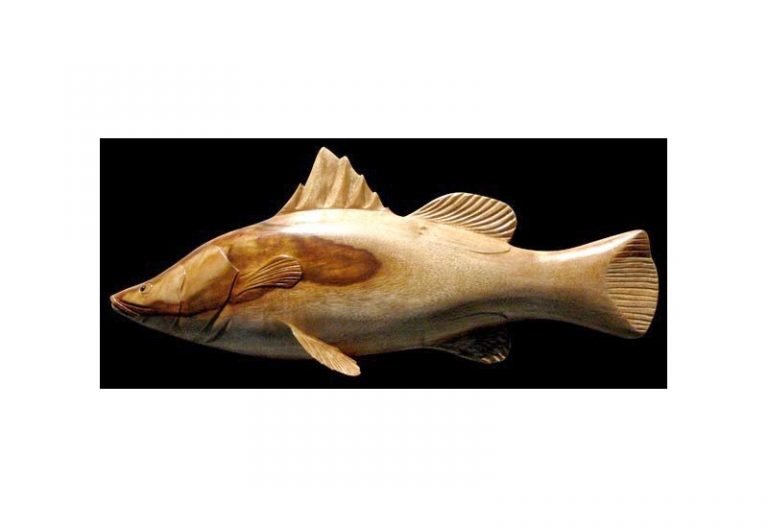 Barramundi – Wall art - Boranupgallery